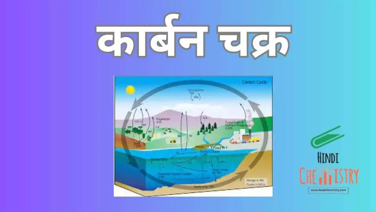 कार्बन चक्र क्या है? इसका महत्व, प्रकार, दुष्प्रभाव, चित्र, तथा प्रक्रिया